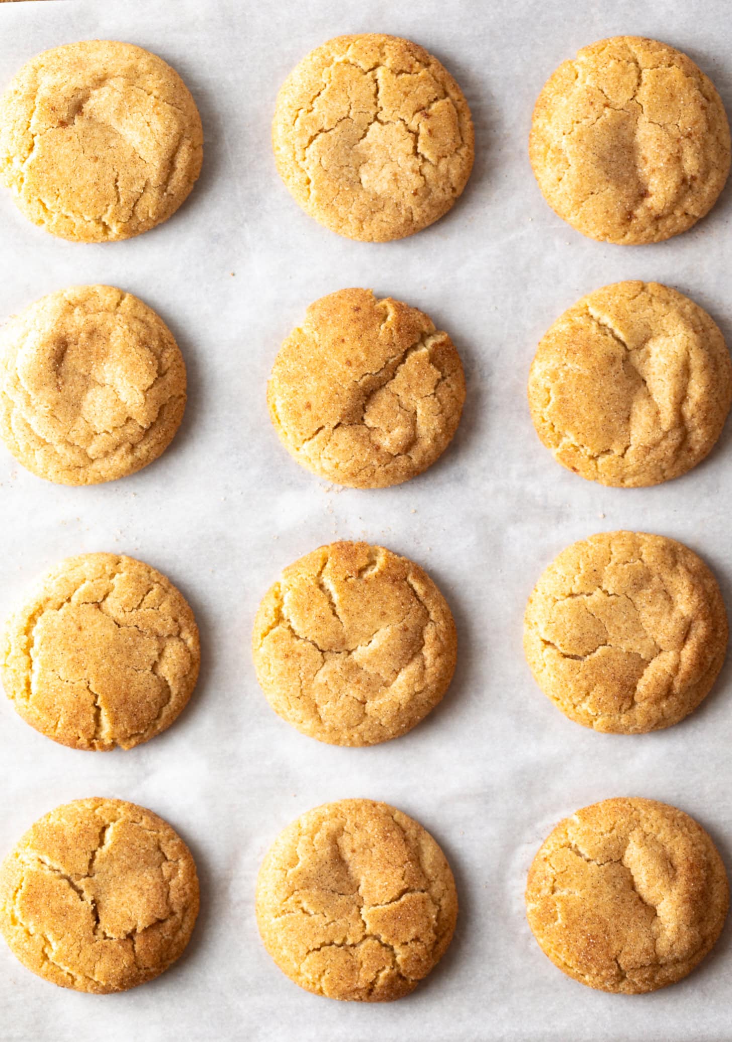 Mexican Cookies Recipe (Biscochitos) - A Spicy Perspective