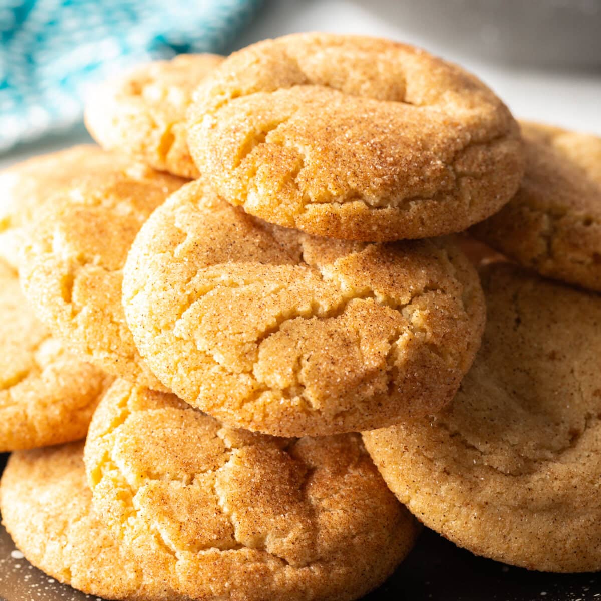 Mexican Cookies Recipe (Biscochitos) - A Spicy Perspective