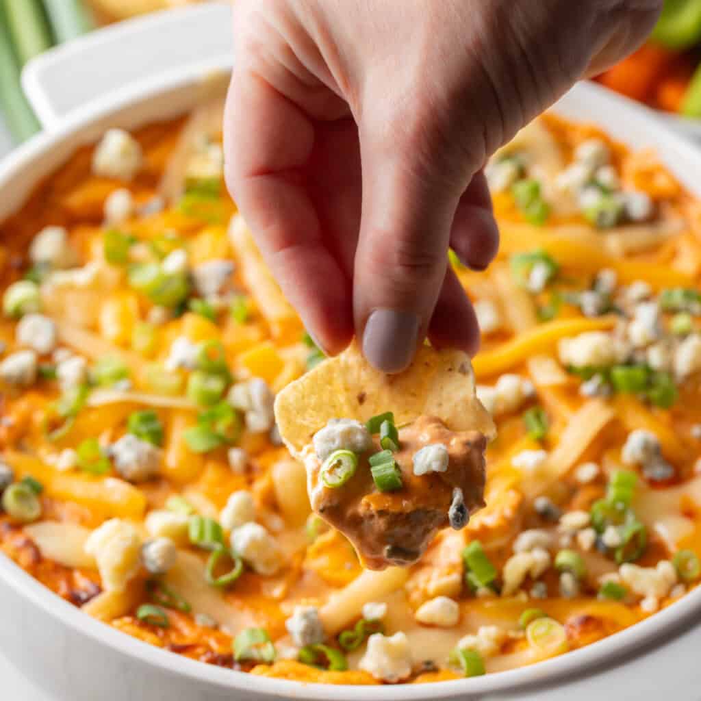 Chicken Wing Dip Recipe (VIDEO) - A Spicy Perspective