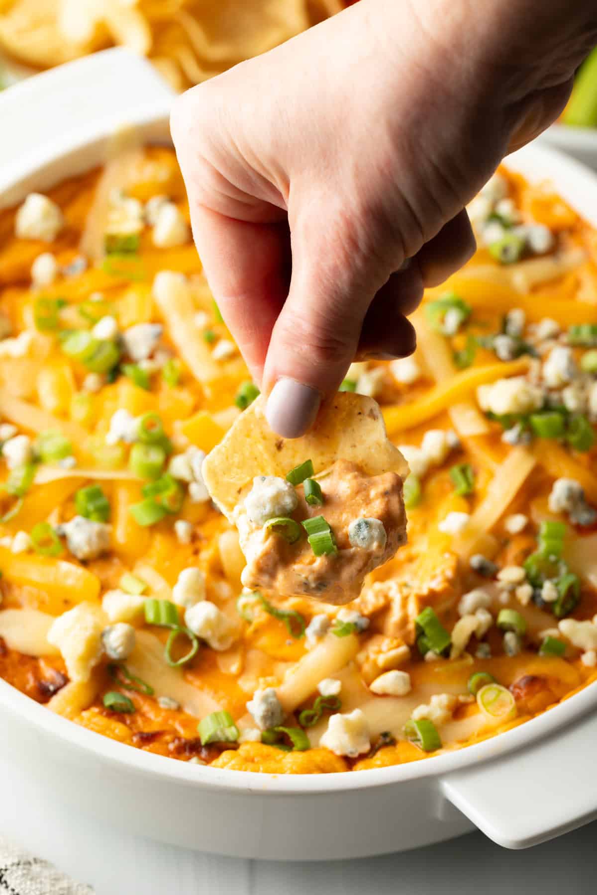 Chicken Wing Dip Recipe (VIDEO) - A Spicy Perspective
