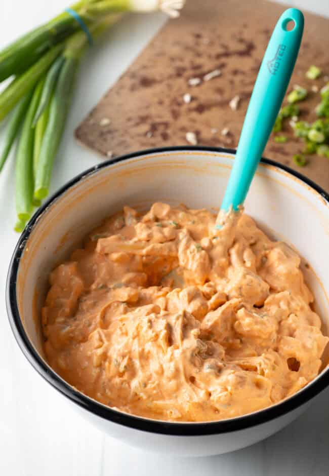 Chicken Wing Dip Recipe (VIDEO) - A Spicy Perspective