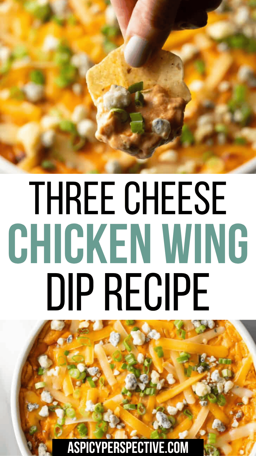 Chicken Wing Dip Recipe (VIDEO) - A Spicy Perspective