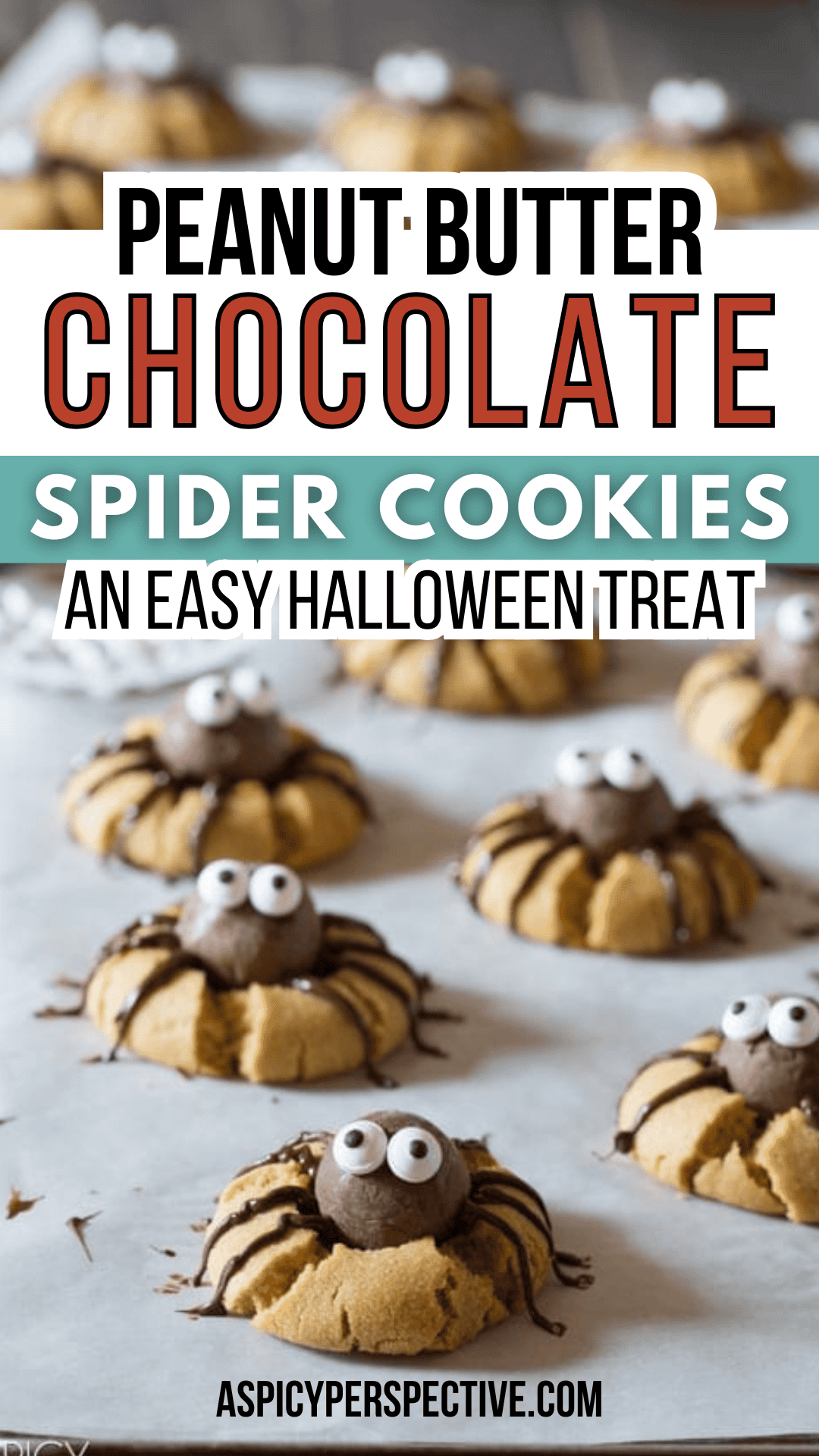 Chocolate Peanut Butter Spider Cookies (VIDEO) - A Spicy Perspective