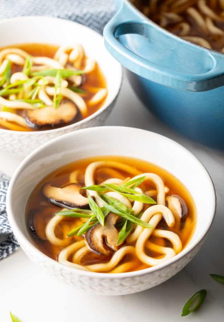 Easy Udon Soup Recipe - A Spicy Perspective