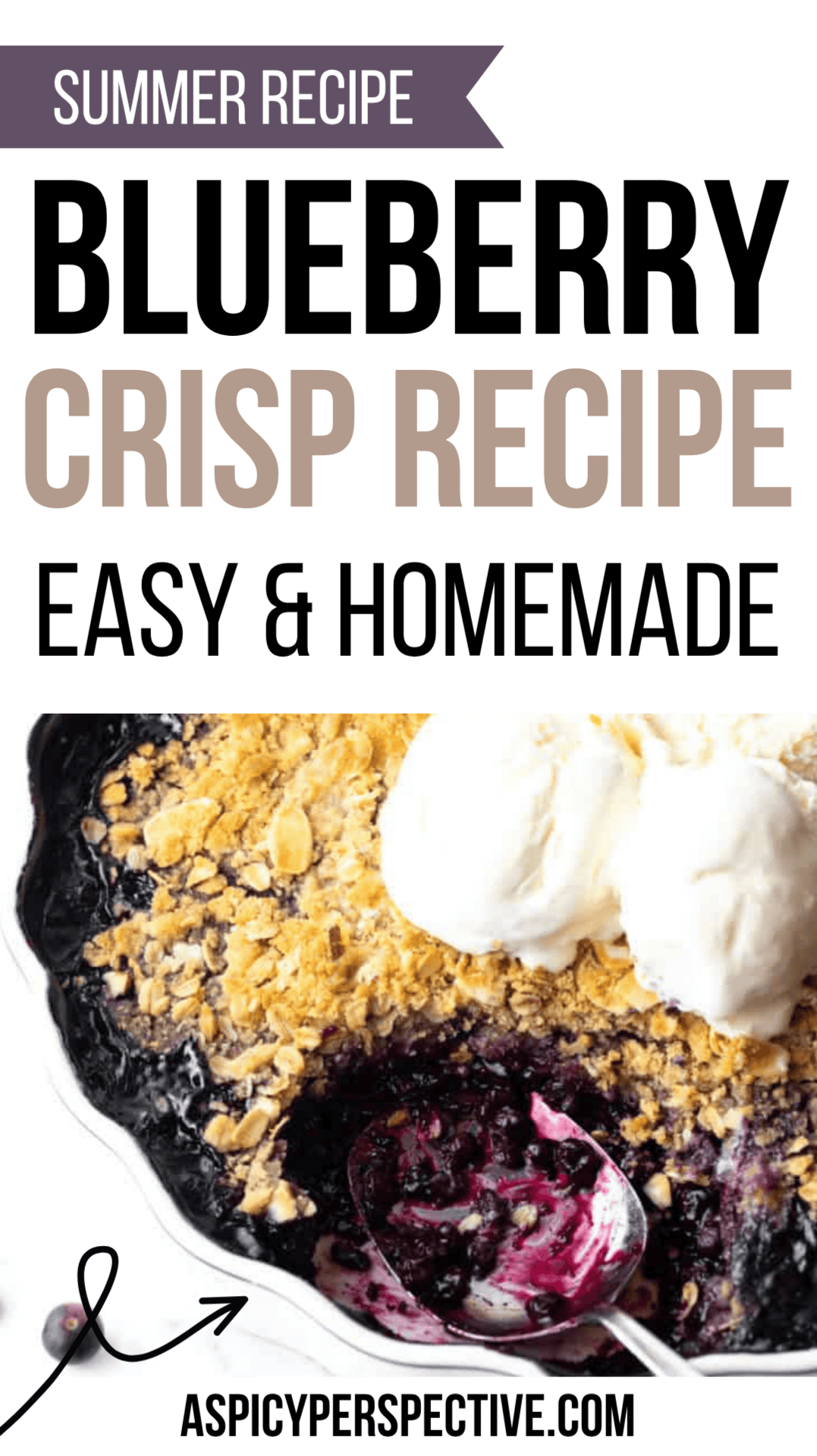 Blueberry Crisp Recipe (Blueberry Crumble) - A Spicy Perspective