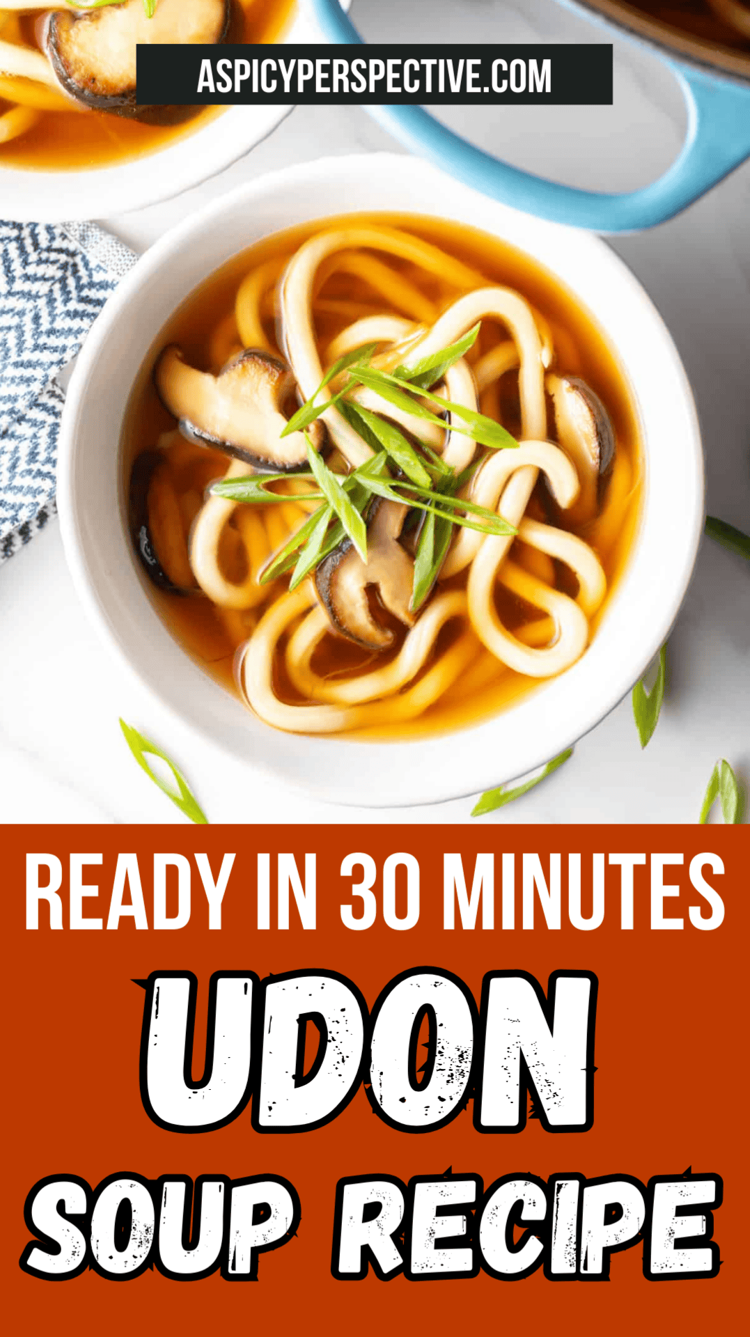Easy Udon Soup Recipe - A Spicy Perspective